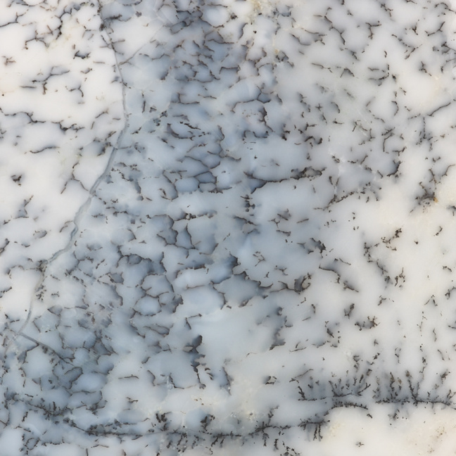 Behind the Cut: Dendritic Agate | Monica Vinader