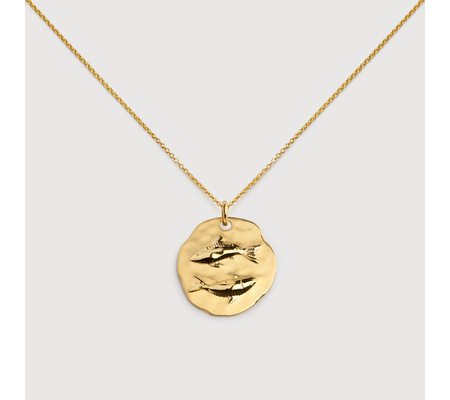 Pisces Zodiac Chain Necklace in 18k Gold Vermeil on Sterling Silver ...